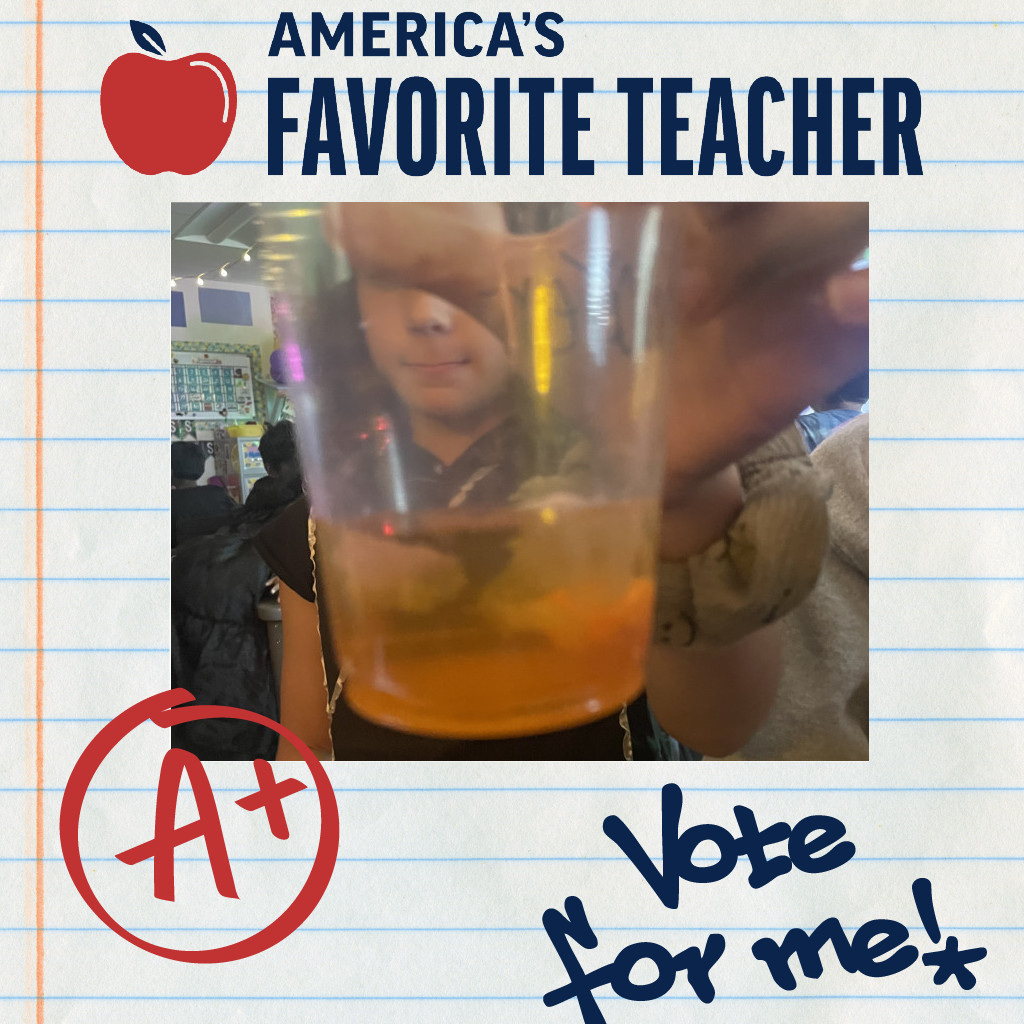 America's Favorite Teacher