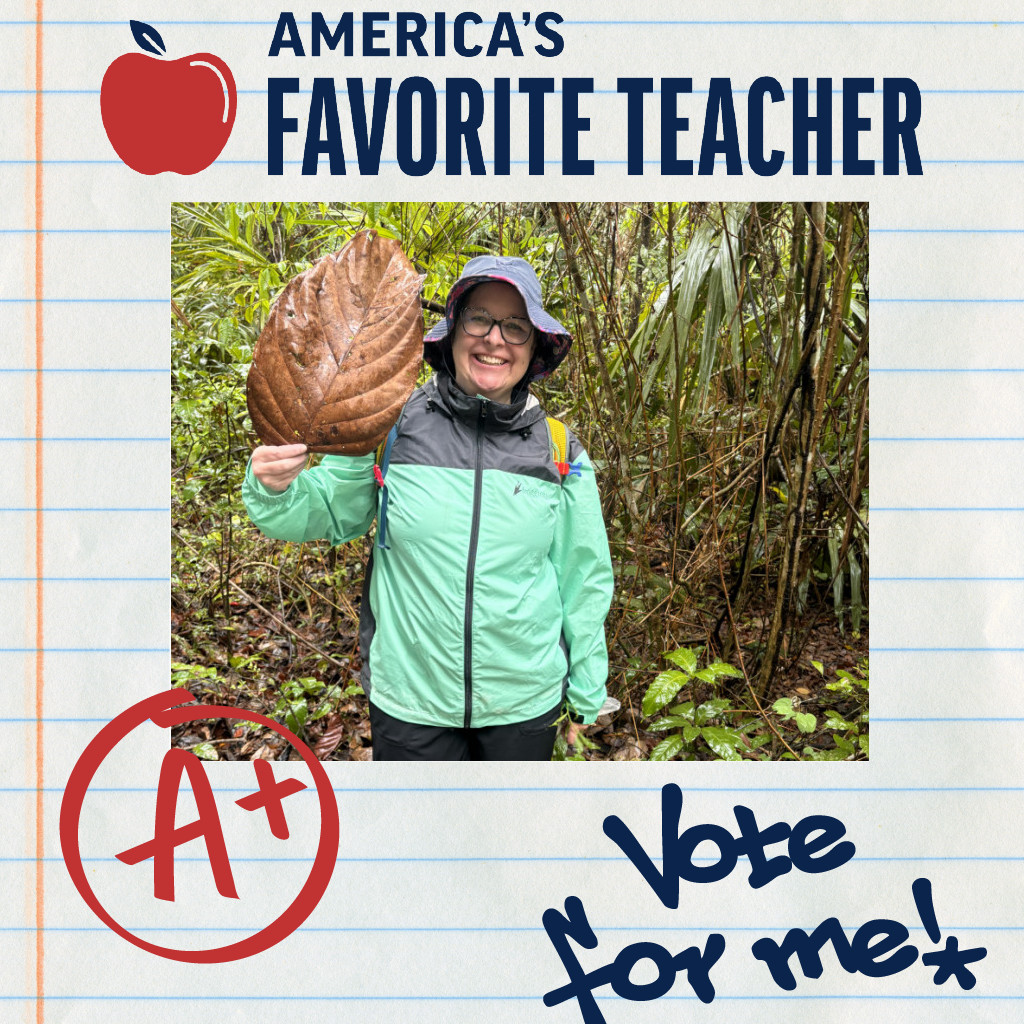 America's Favorite Teacher