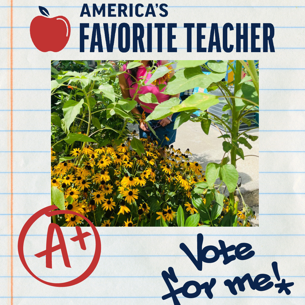 America's Favorite Teacher