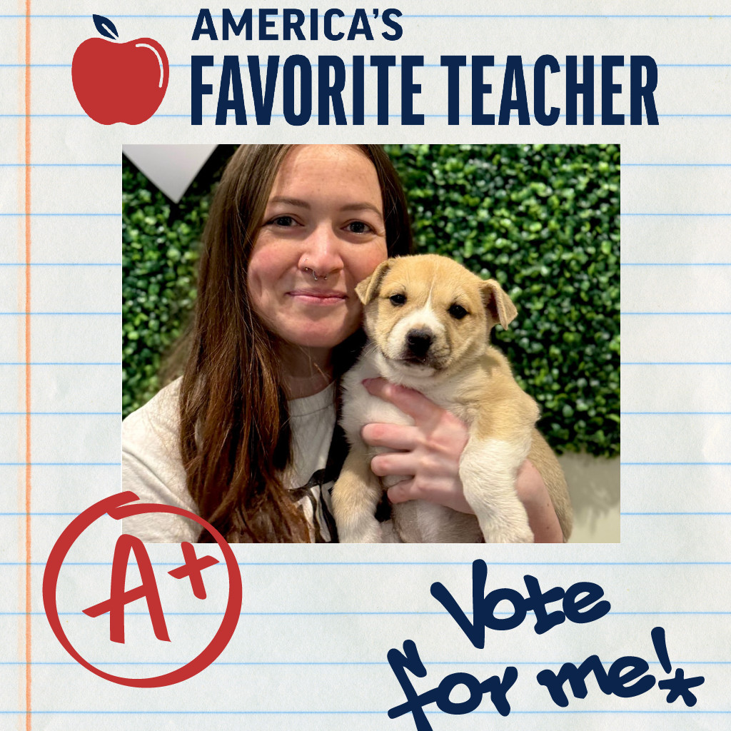 America's Favorite Teacher