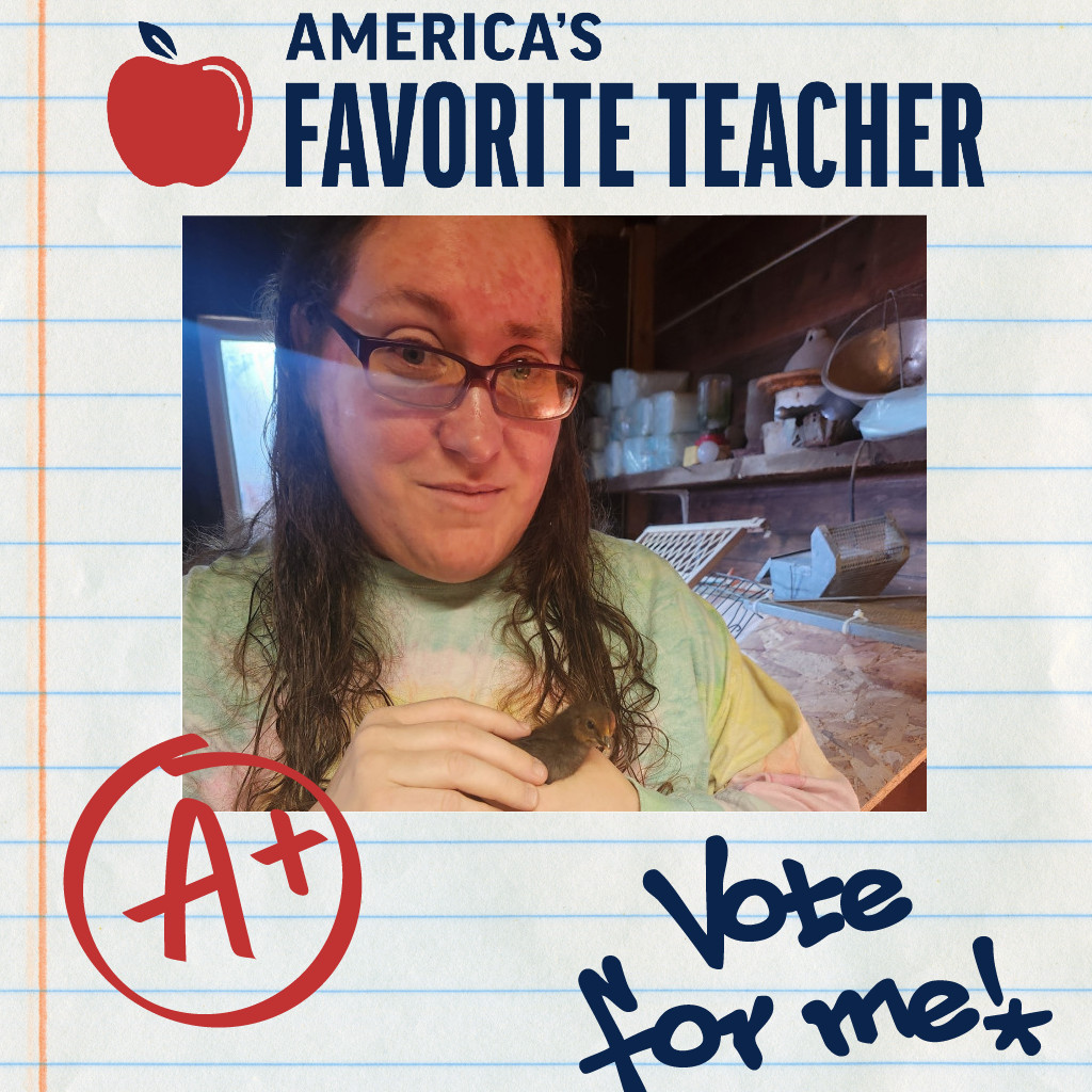 America's Favorite Teacher
